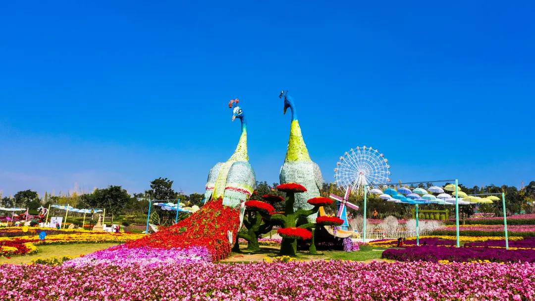 Chengdu Spring Festival check-in place - iNEWS