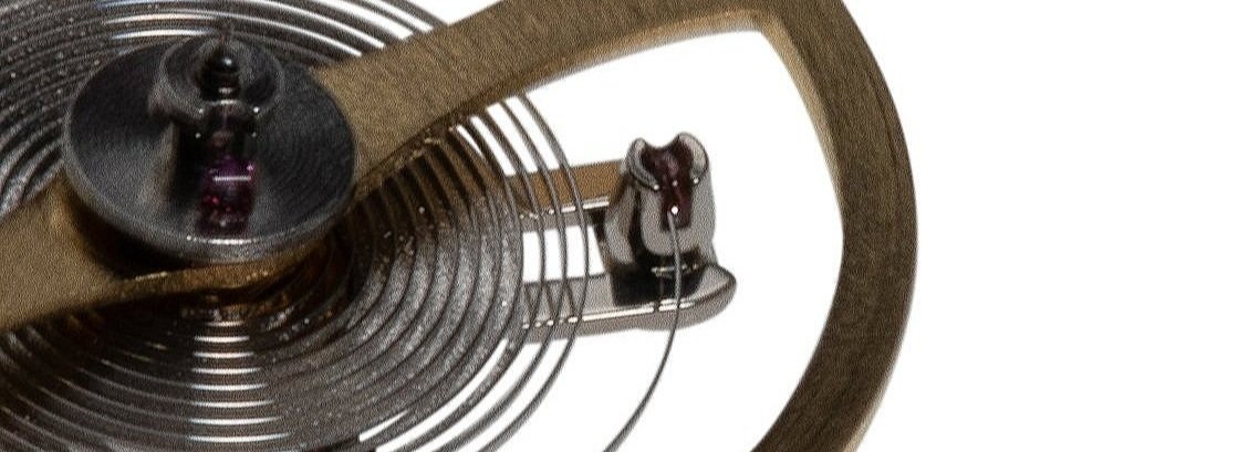 Introduction and story of LJP G100 movement - iNEWS