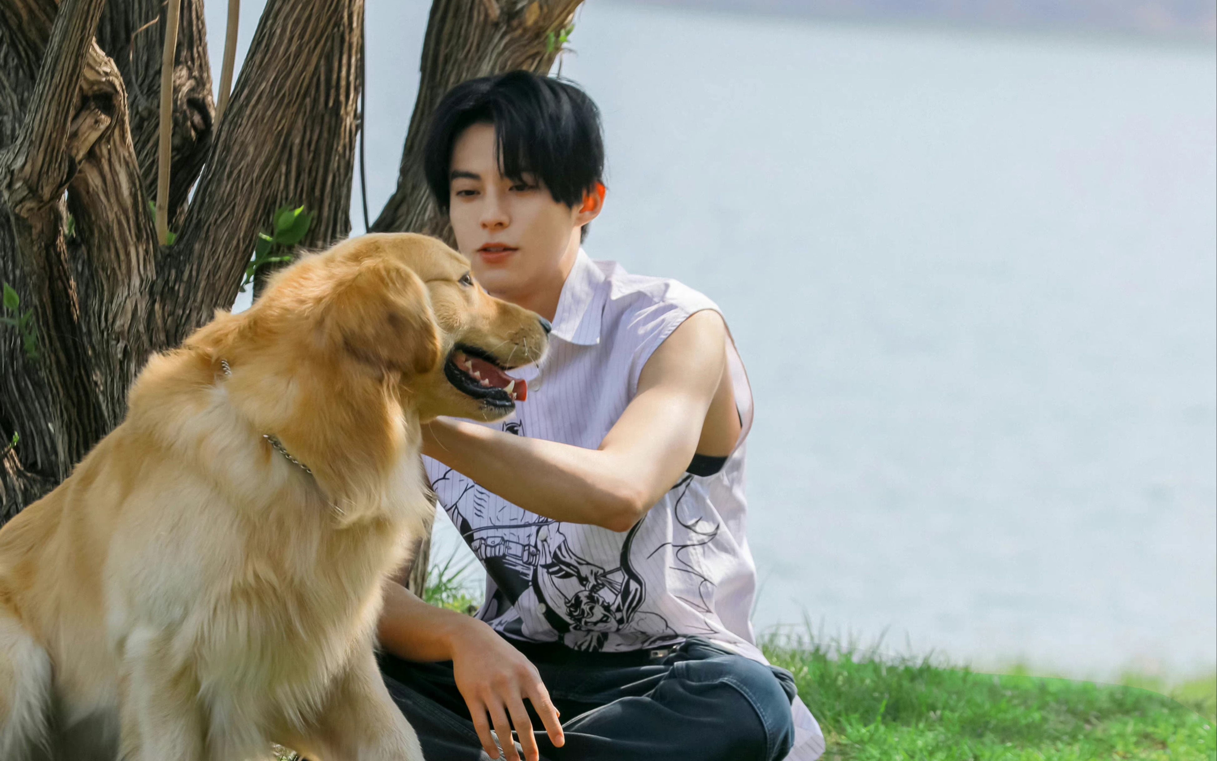 Entertainment Comments: Zhao Liying, Luo Yunxi, Liu Haoran, Wang Hedi, Deng Chao, Yang Di - iMedia