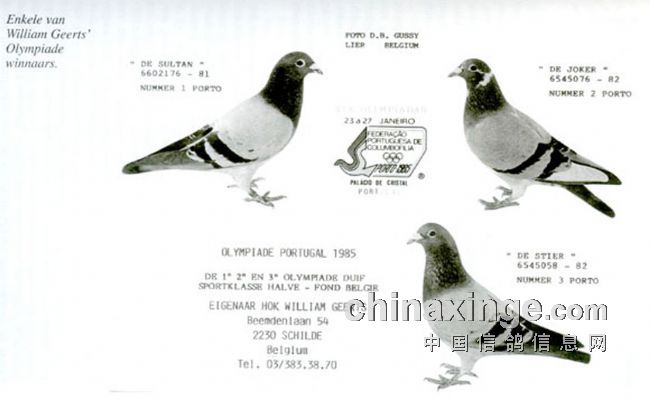 The great Belgian "middle distance pioneer" - William Geert - iNEWS