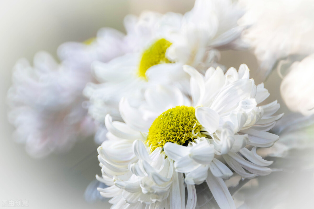 The three female constellations who know how to judge men - iNEWS