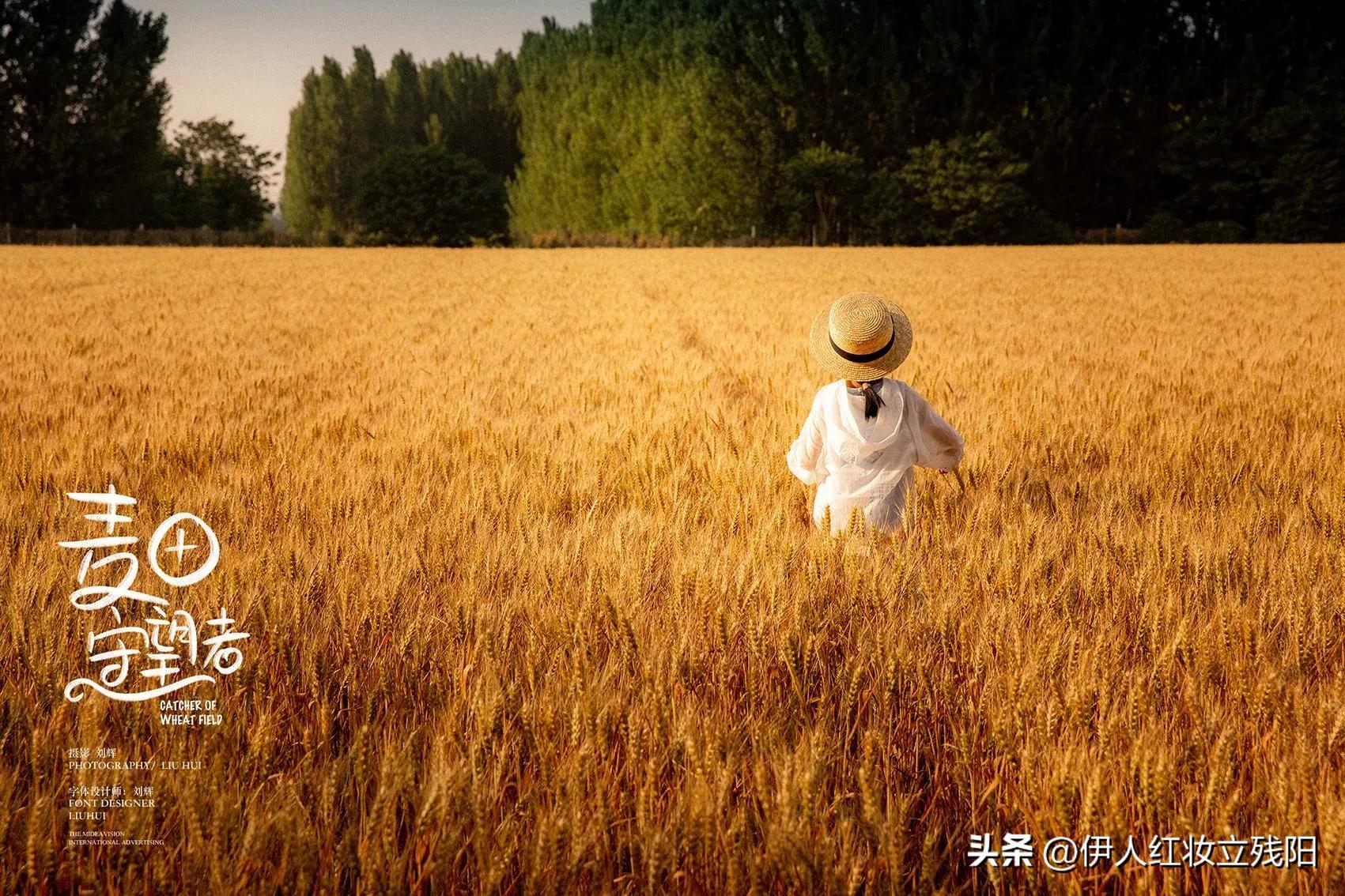 The ten most moving sentences in the world famous novels, each sentence ...