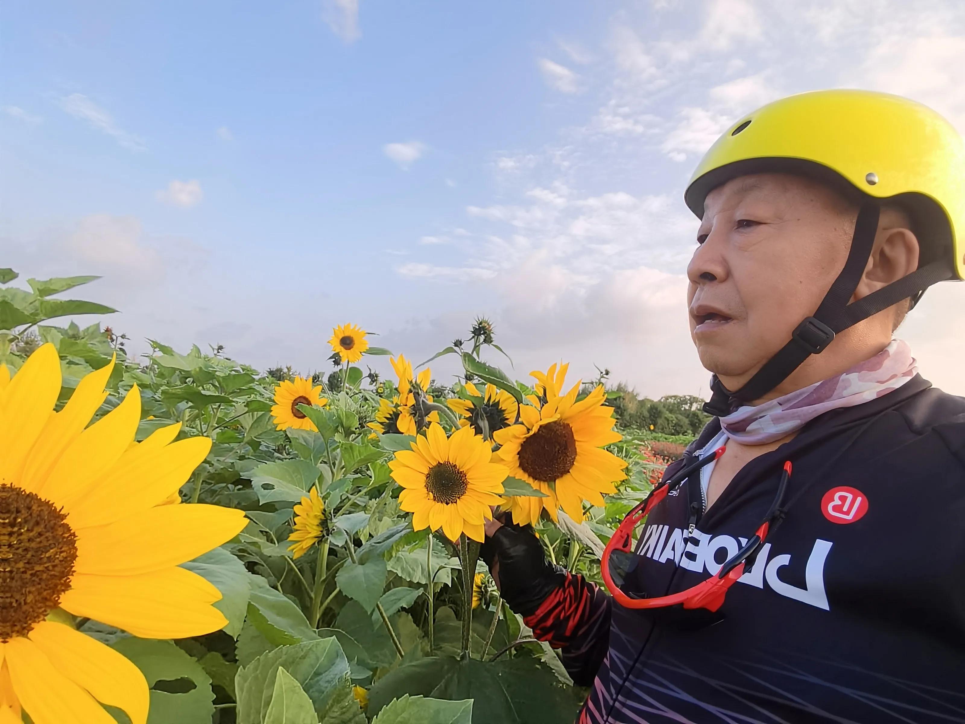 Fu chant classics: the prosperous times are bright and I wish the works ...