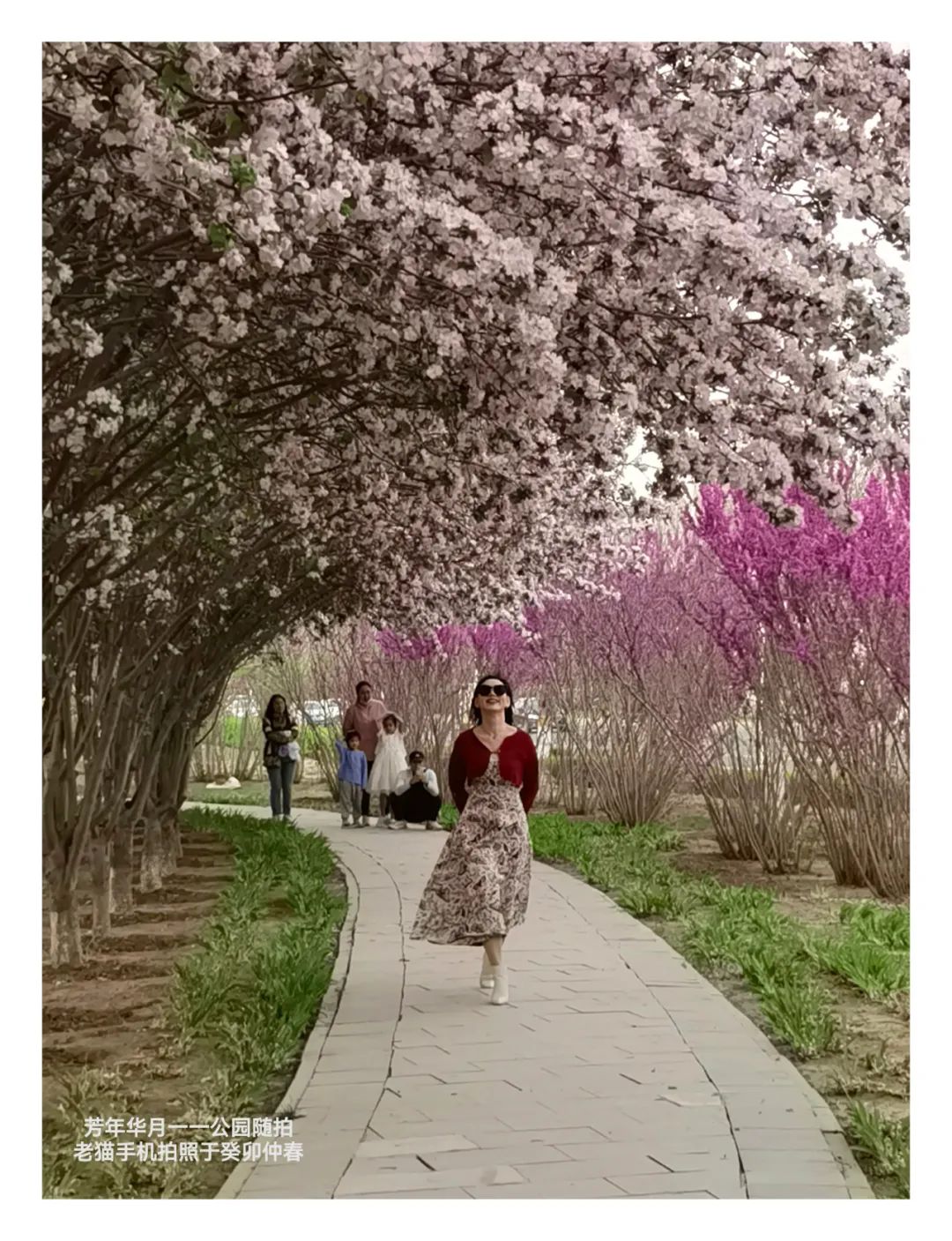 Inscription Poetry Old Cat Late Spring Photography: Wang Guanling, Tian ...
