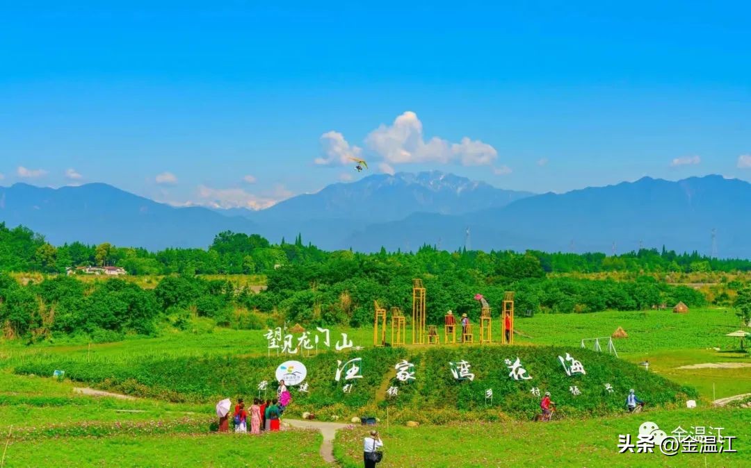 Wenjiang in May, the beautiful scenery is on the road... - iNEWS