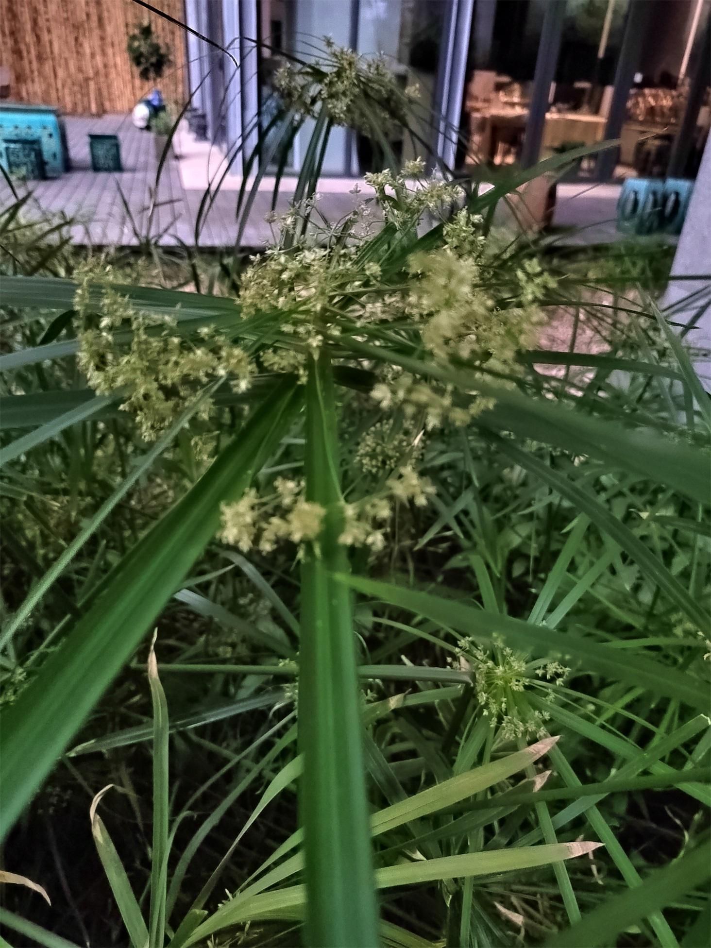 Run out of good shape, health is guaranteed - iNEWS