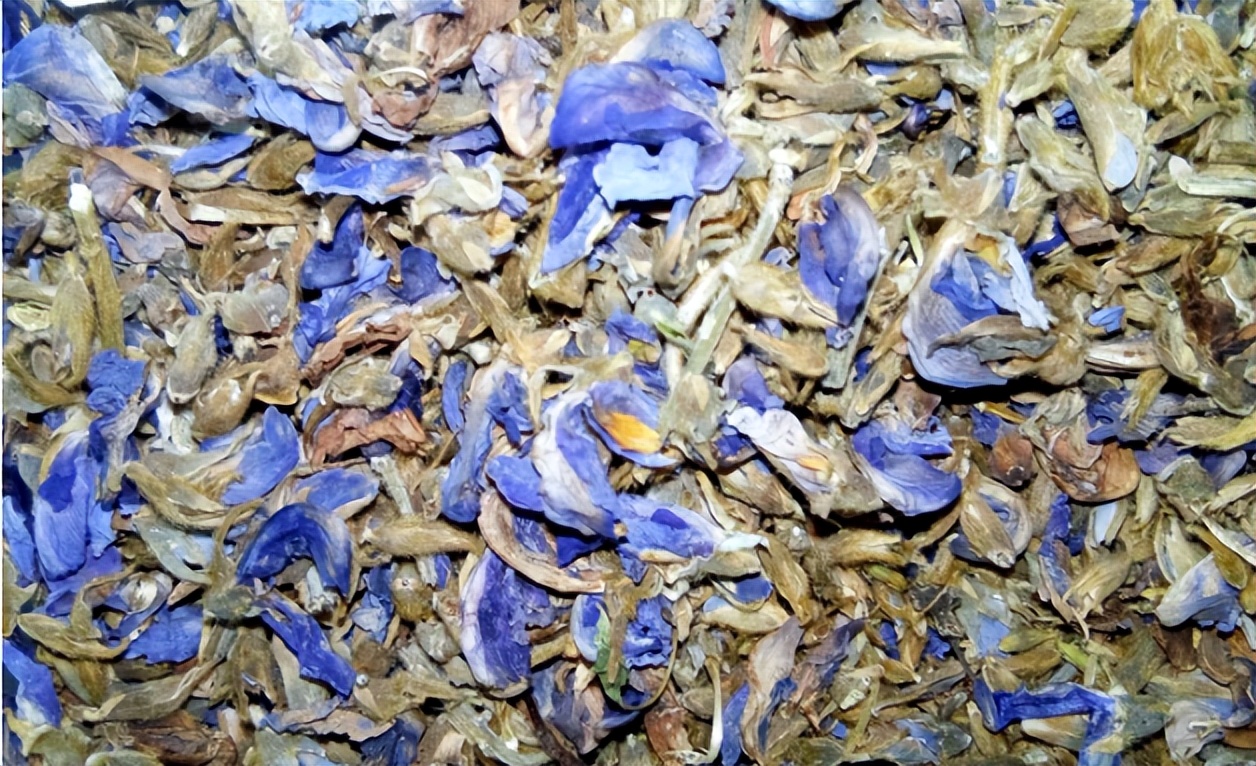 Take you to identify kudzu flower - iNEWS