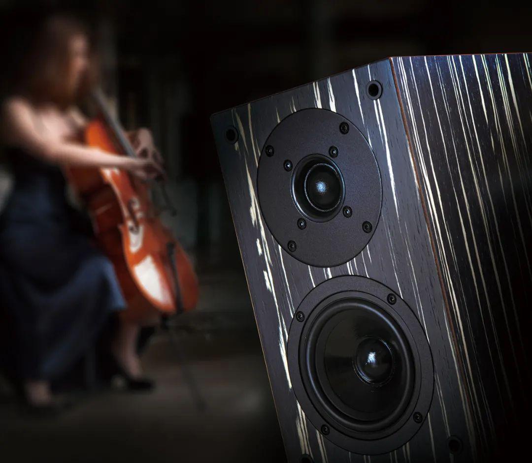 能播好大提琴的4寸小精靈！——唐韹（Audiomis）MC4書架箱 - 資訊咖