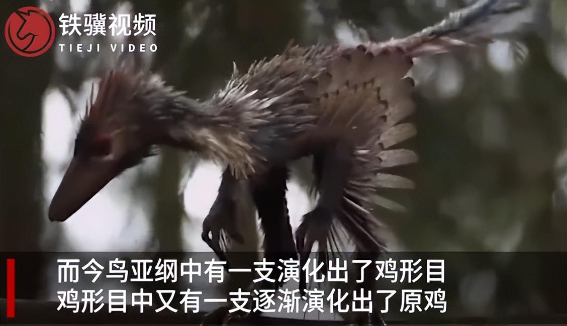 Dinosaurs are not completely extinct, listen to what experts say - iNEWS