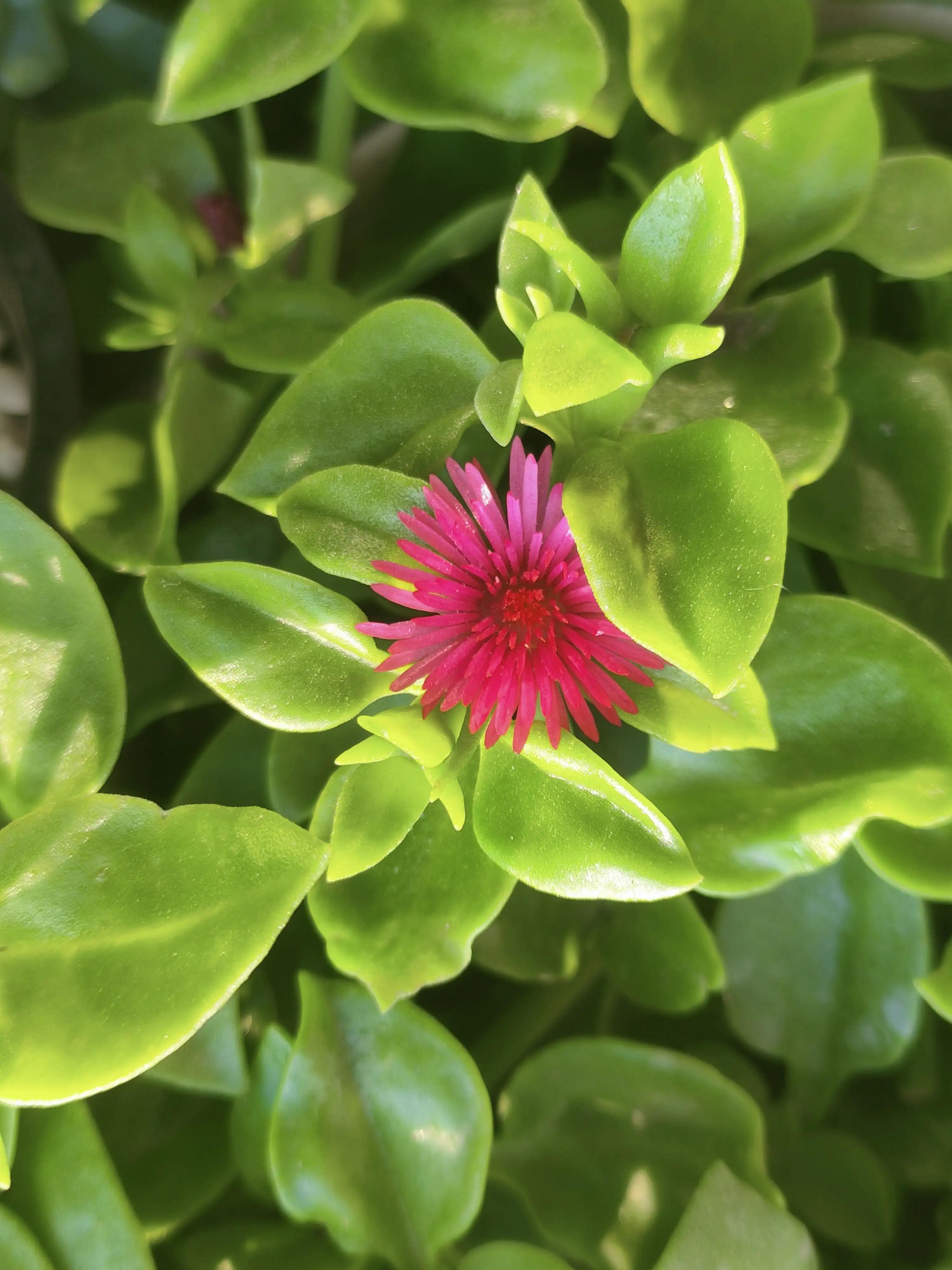 outside the window - iMedia