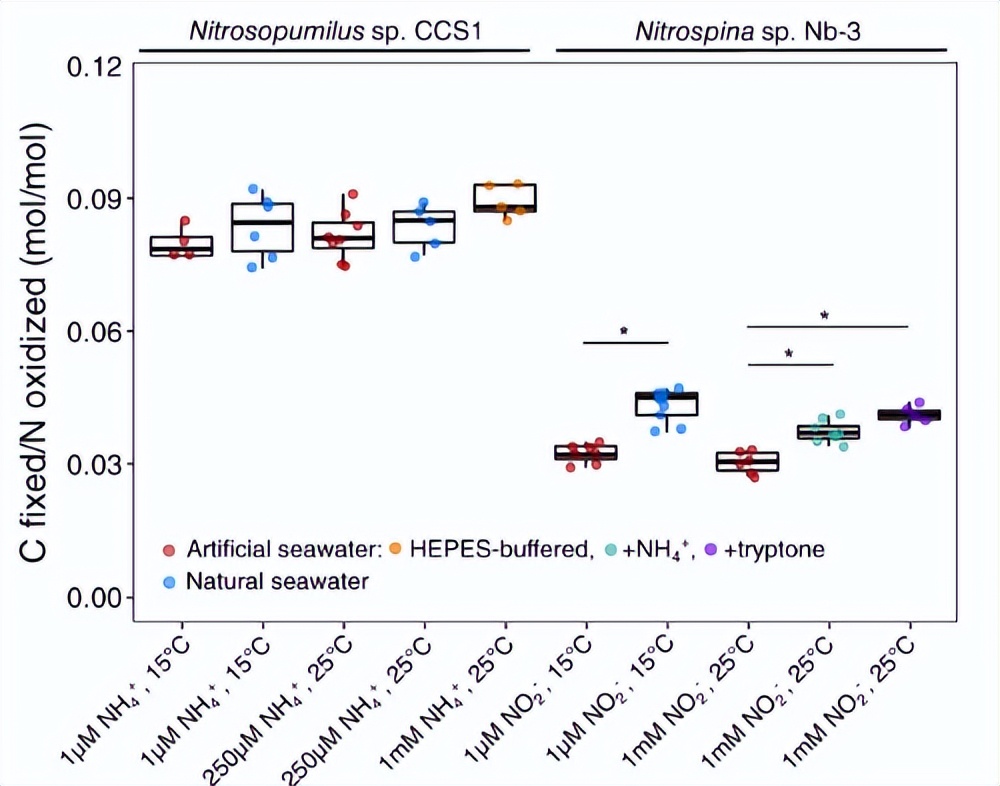 How do marine nitrifying agents regulate carbon fixation rate and ...