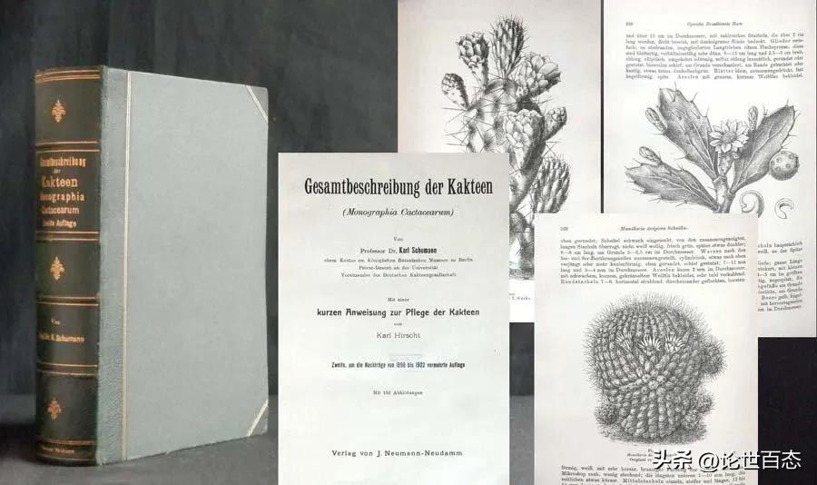 Season 101 German botanist Karl Moritz Schumann - iNEWS