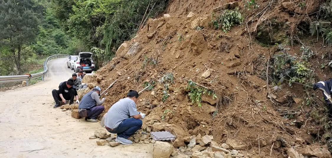 439 million-year-old fossils re-emerge, revealing the key jump in the ...