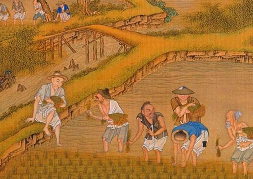 A Brief Discussion on the Main Causes of the Western Zhou Dynasties - iMedia