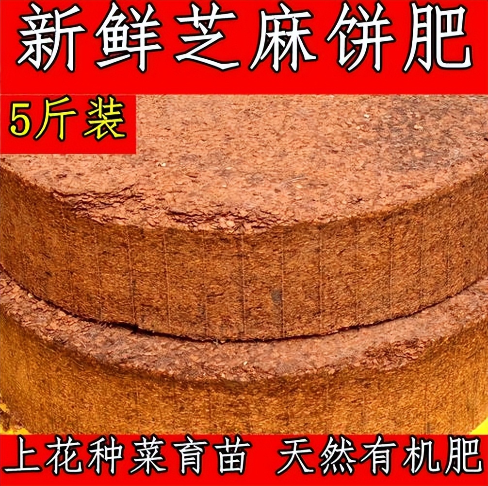 How do bean cakes, peanut cakes, and rapeseed cakes ferment? This is ...