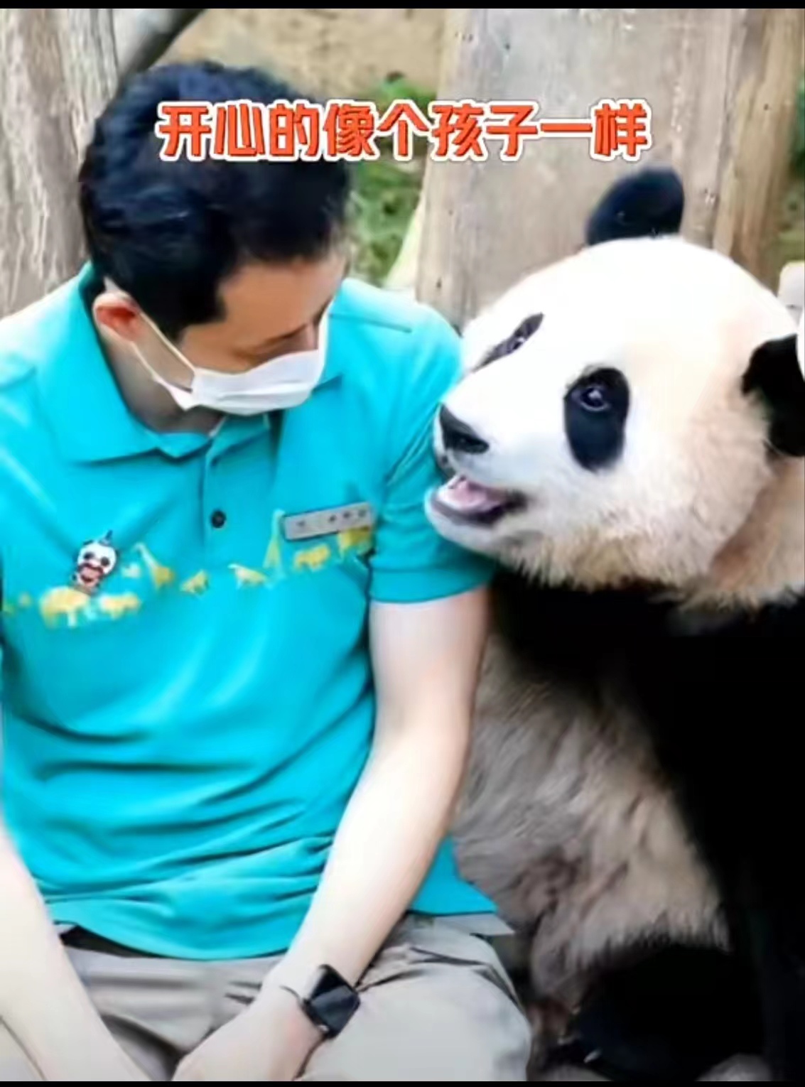 The giant panda "Fubao" in South Korea successfully renewed its contract! Grandpa Jiang cried ...