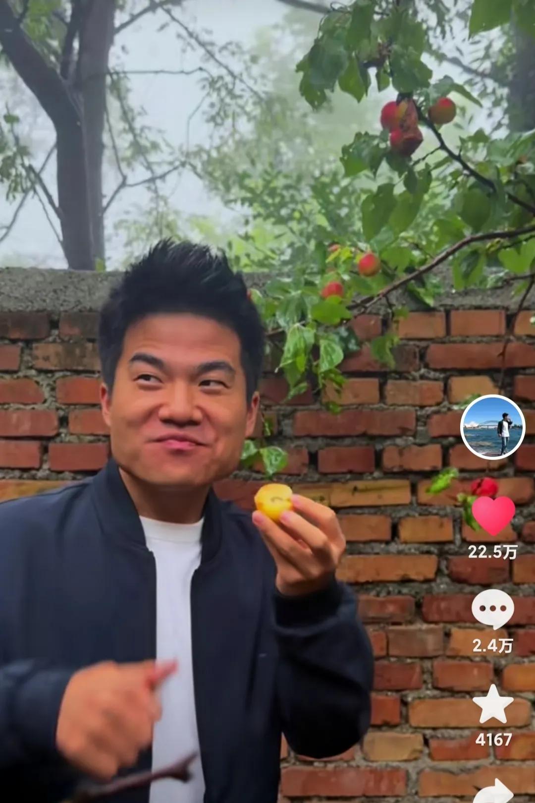 Dong Yuhui has been eating apricots for six days on Douyin, and he ...