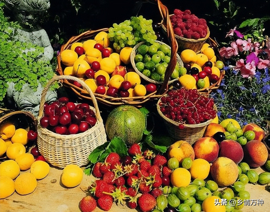 The Miracle of an Indoor Orchard: Tips and Tricks for Growing Delicious ...