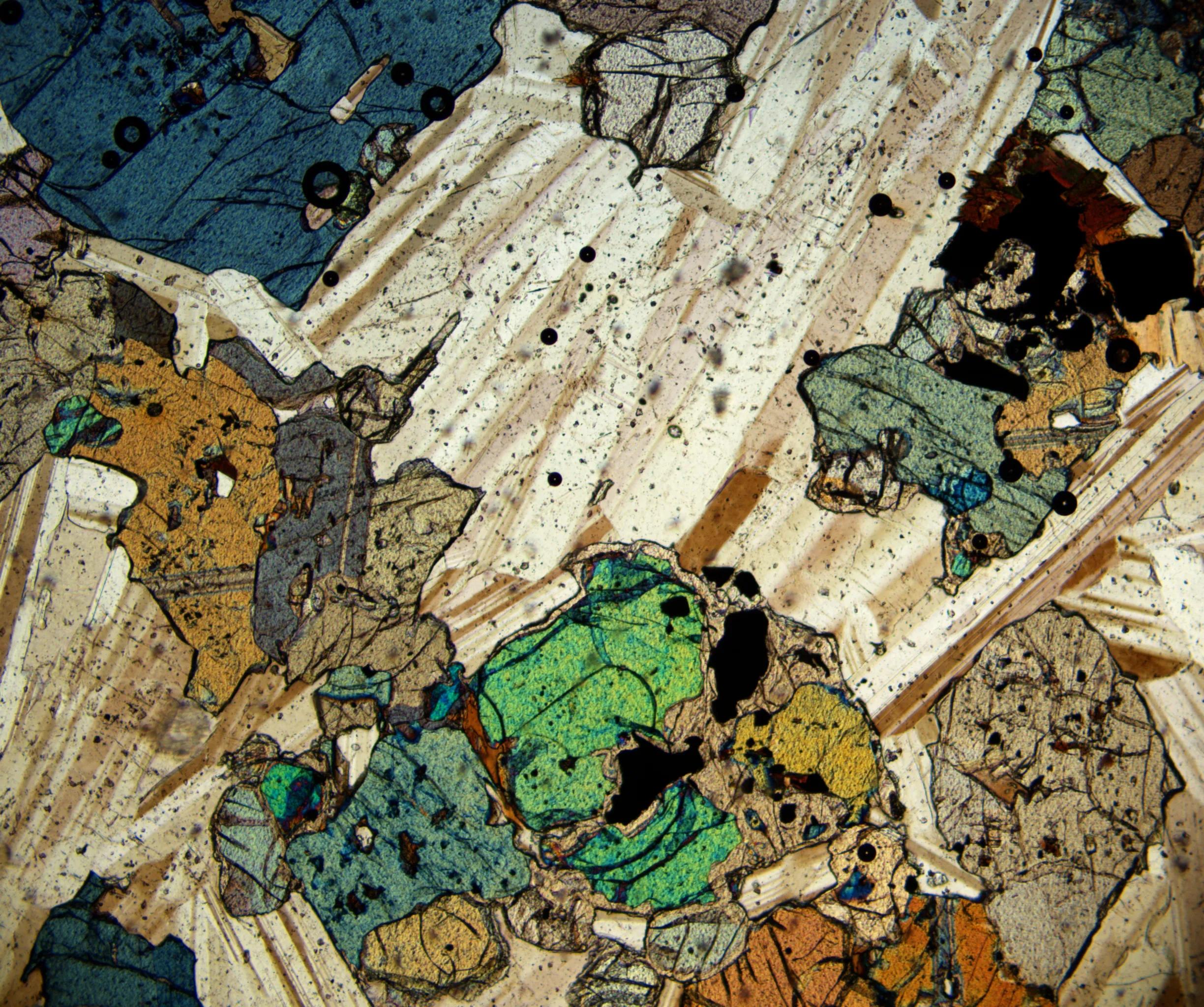 beautiful micro world - iNEWS