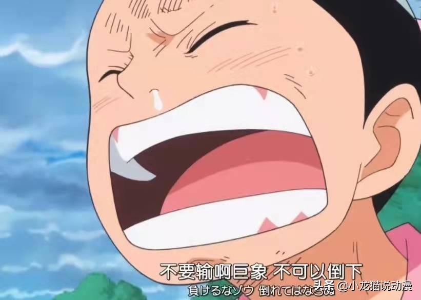 One Piece Chapter 1038 Prediction: The Elephant Lord defeats the World ...
