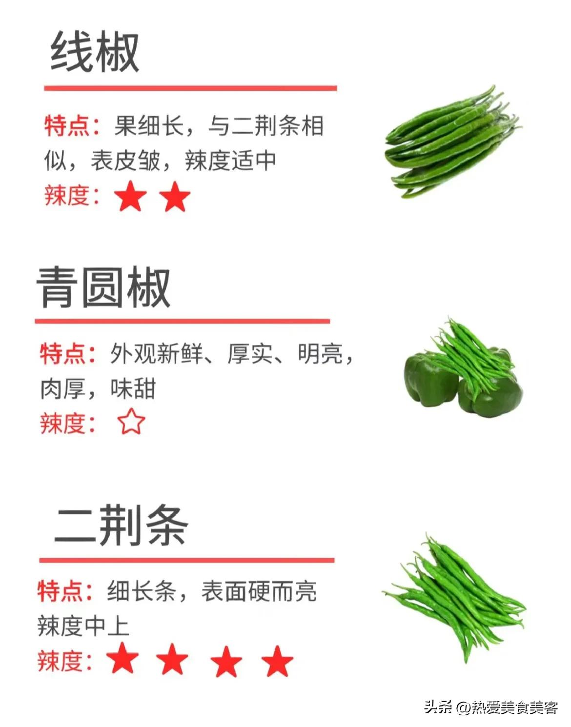 Common green and red pepper varieties and their differences - iMedia