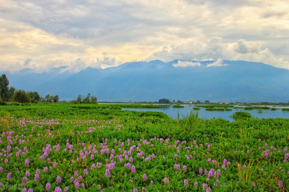 Leave the most beautiful time in May to Yunnan, and the most beautiful ...