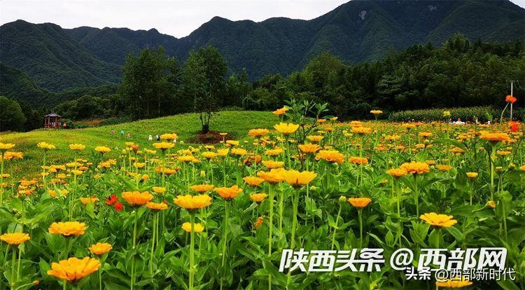 Ancient Tomb Ridge, Shuanghe Town, Xunyang City, Ankang: The Hundred Mu ...