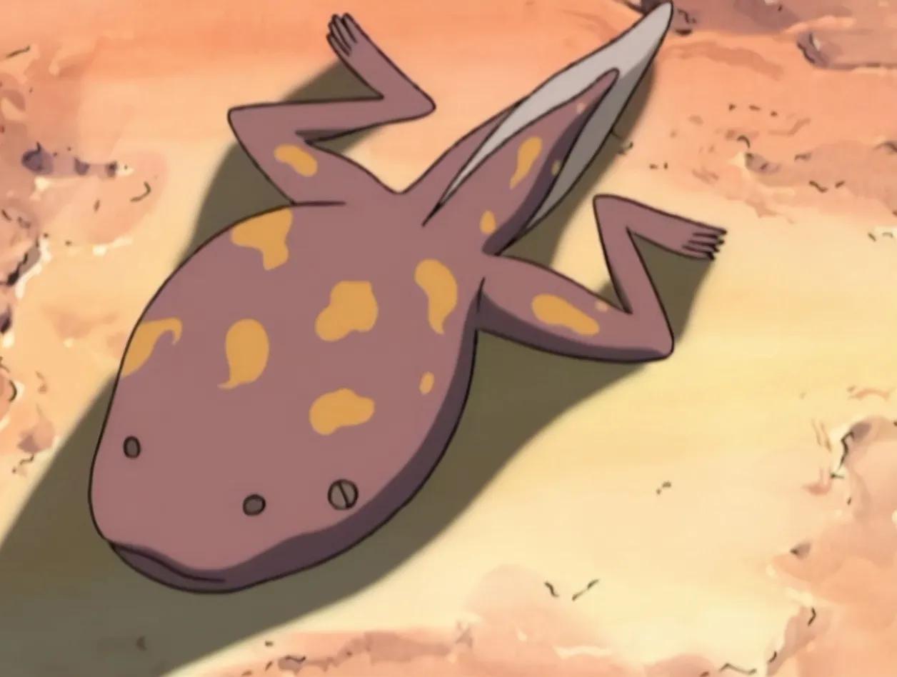 Is the tadpole summoned by Naruto funny?The pattern on the body is ...