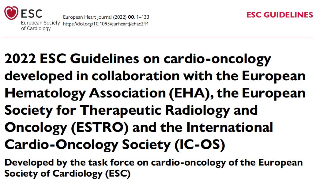 Summary of the five cores of the "first" guideline for oncological ...