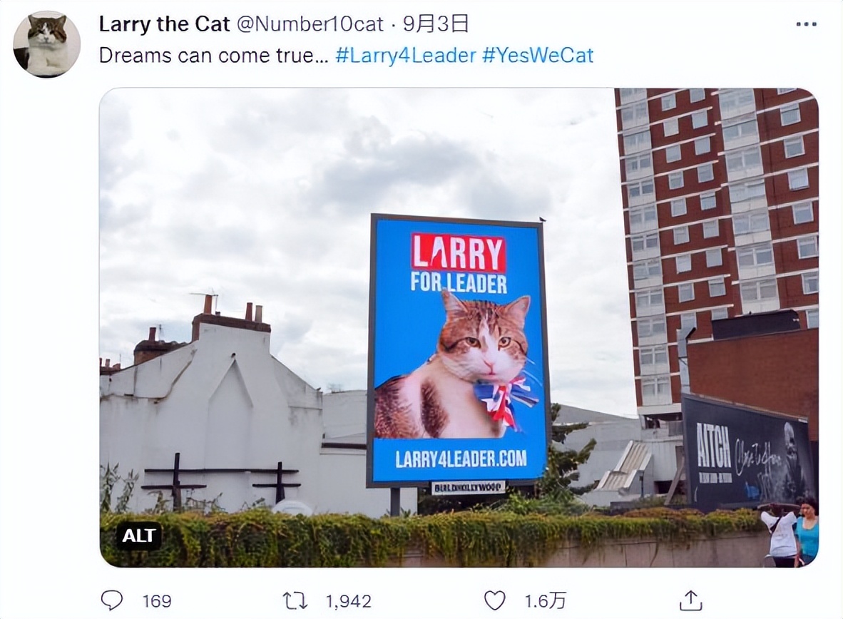 British royal cat Larry also ran for prime minister?Netizens support ...