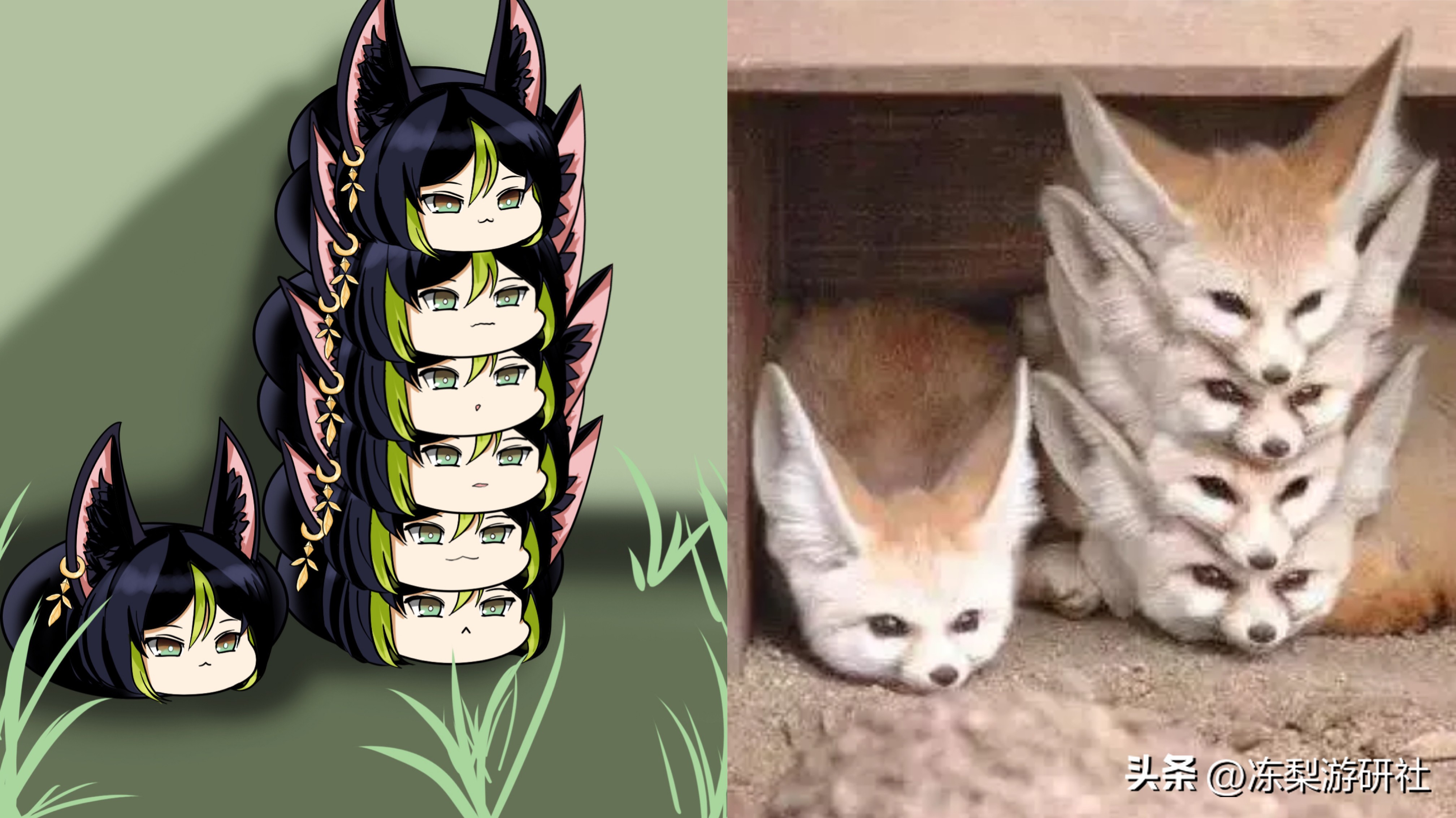 Genshin Impact: Is Tinari worth it?Including cultivation strategy ...