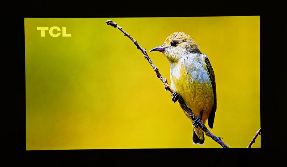 TCL C11 TV, is it good or not?If you want to get a TV, you can watch it - iNEWS