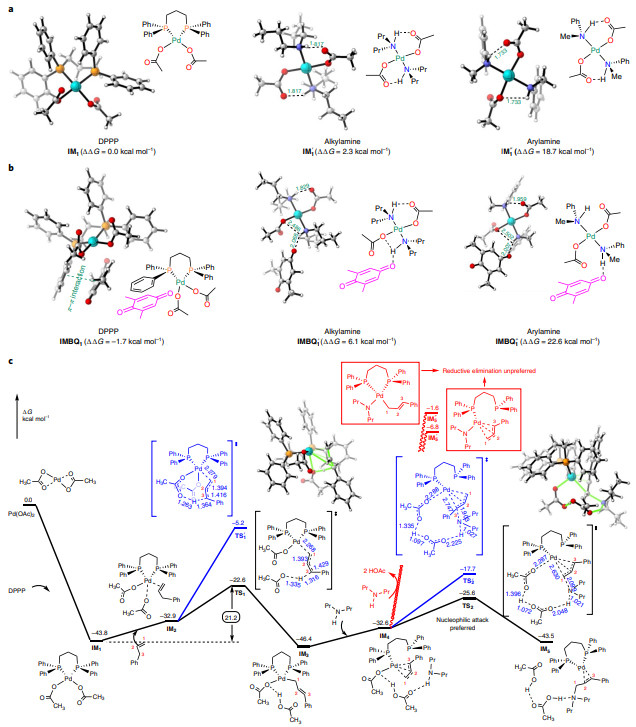 Nat. Chem.: Palladium-catalyzed selective oxidative amination of ...