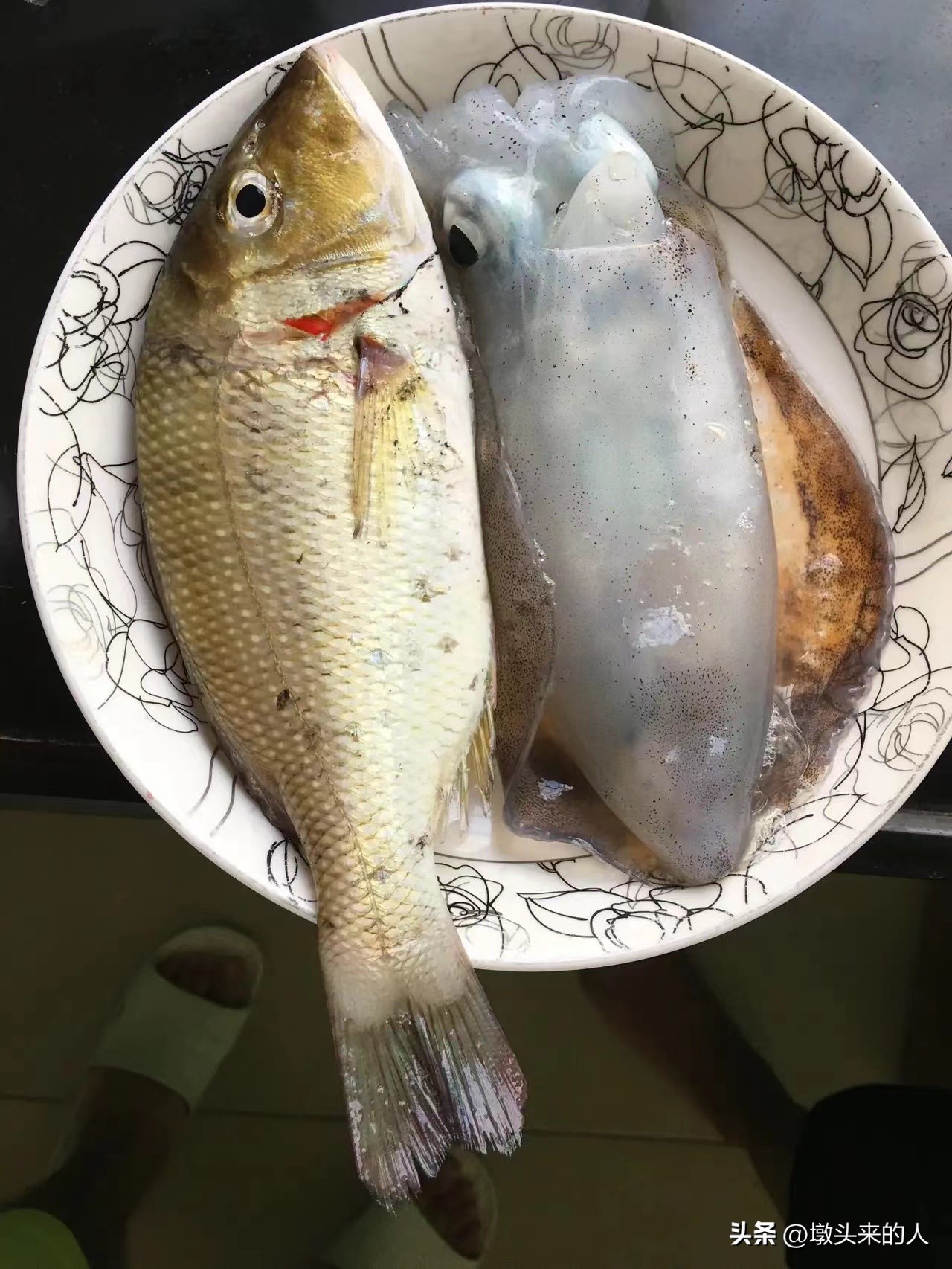 A combination of beauty and deliciousness - soft silk squid - iNEWS