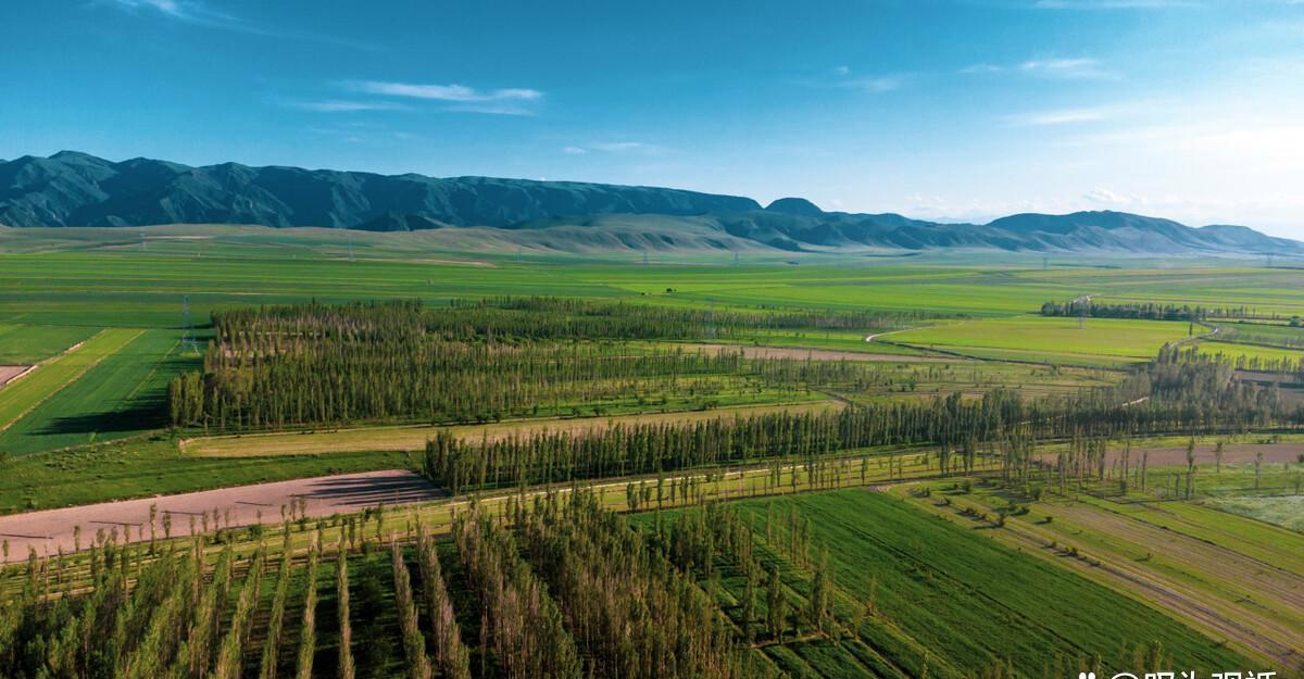 4 amazing predictions! How will 2023 surprise the world? - iMedia