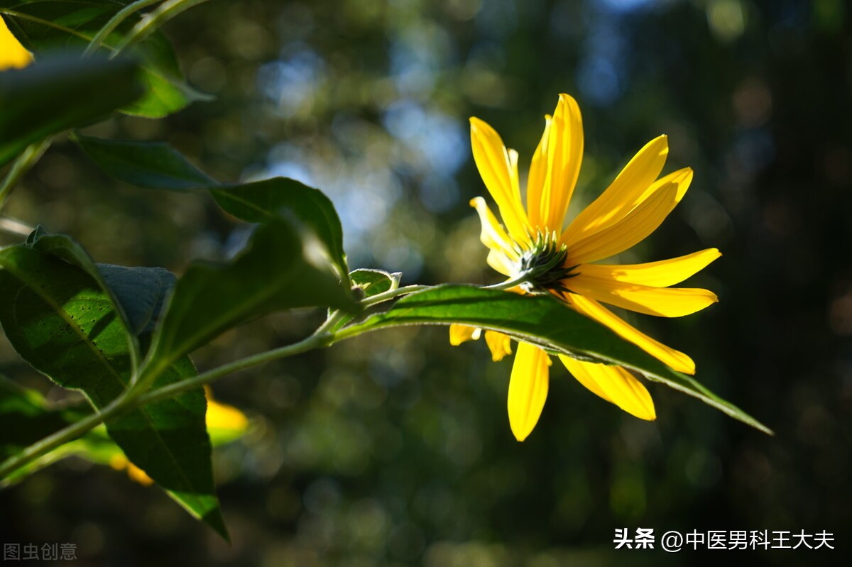 ED is nothing but the deficiency of both yin and yang of the kidney ...