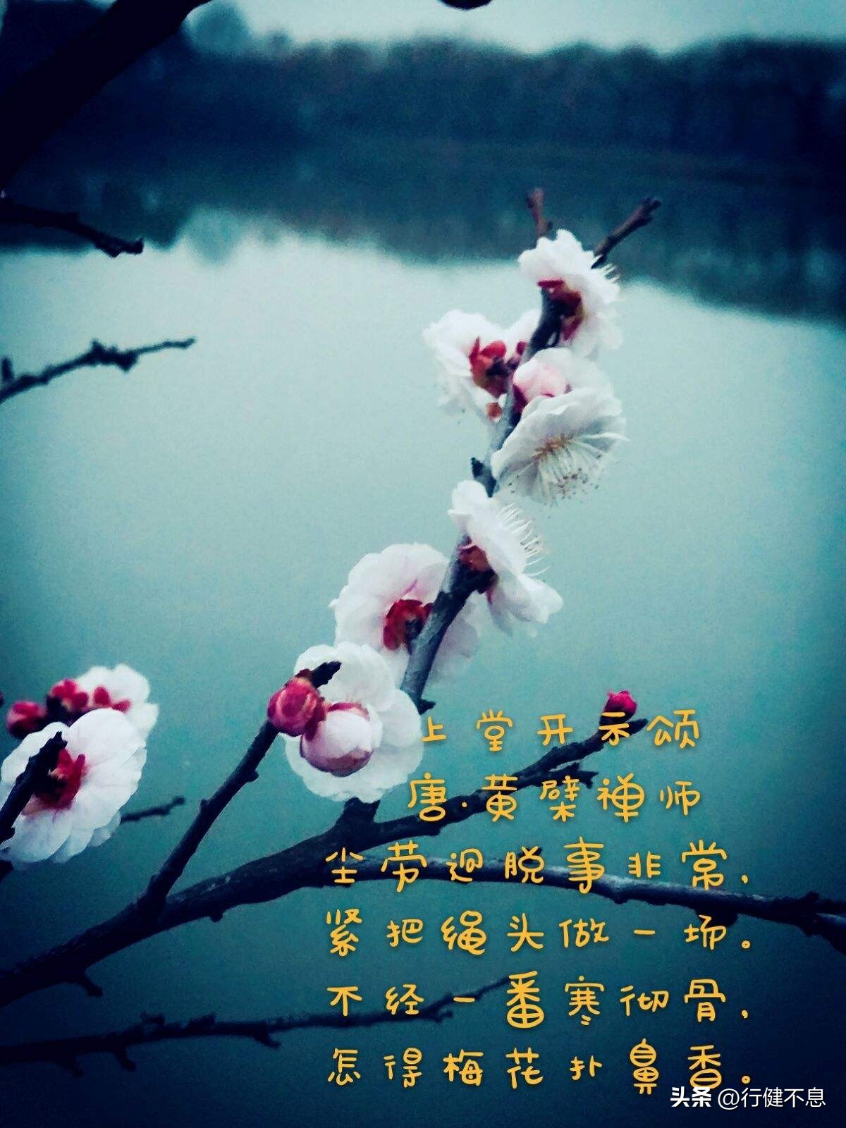 Just living in a dream: eight classic Zen poems that tell us how to ...