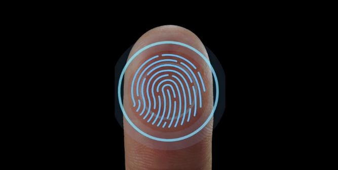 The use of ancient fingerprints: the imprint of the wisdom of the ...