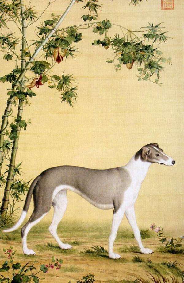 The Custom of Eating Dog Meat in the Han Dynasty - iMedia