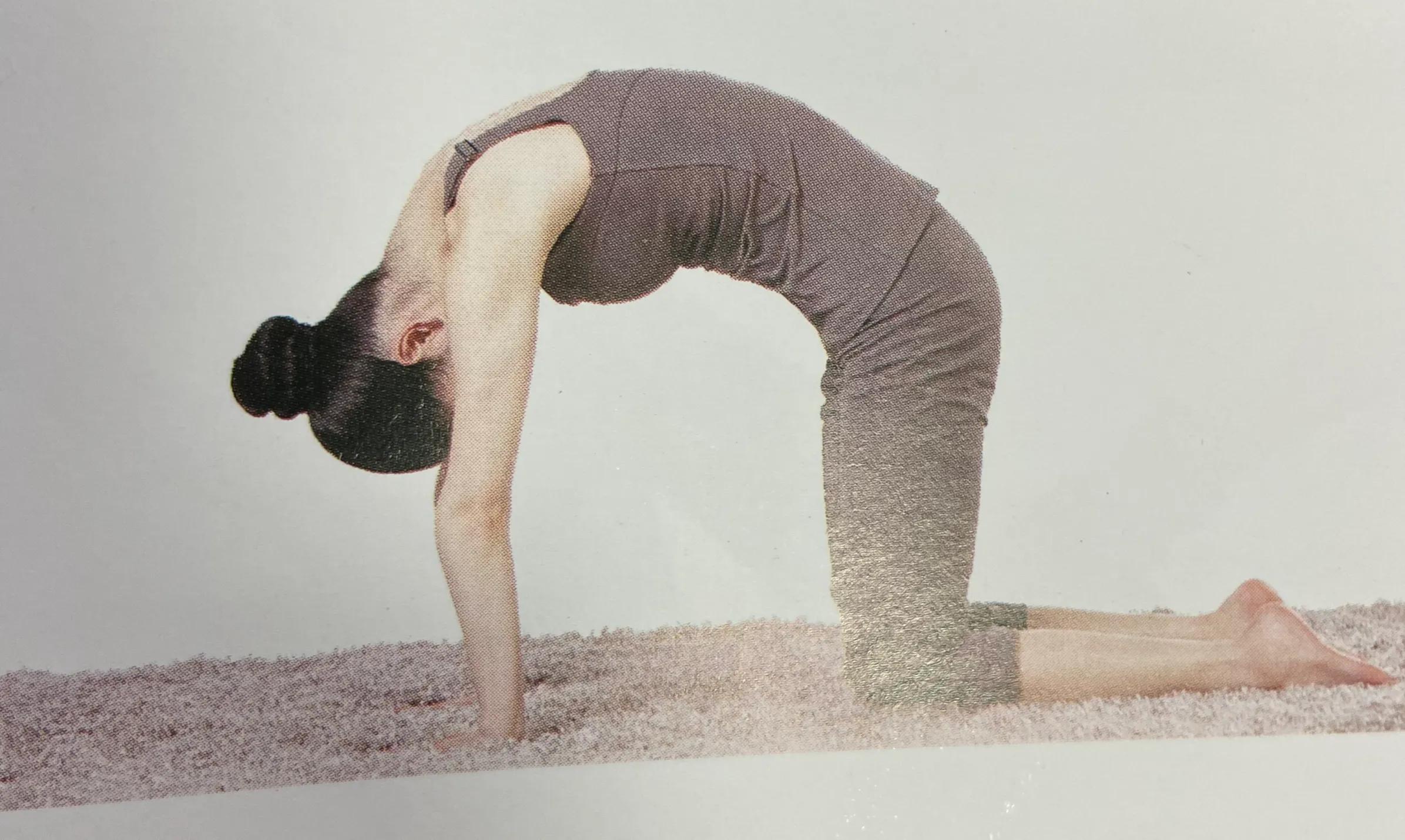 Cat style: because it looks like a cat stretching and bending, so it ...