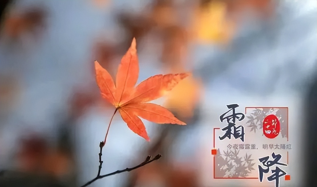 Life is just a passerby, so why be persistent!"Morning Class" Issue ...