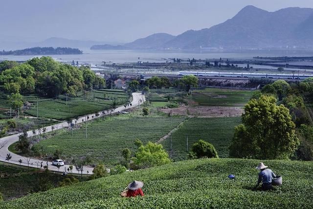 Fuzhou: the ancient and modern encounter between an "imported flower ...
