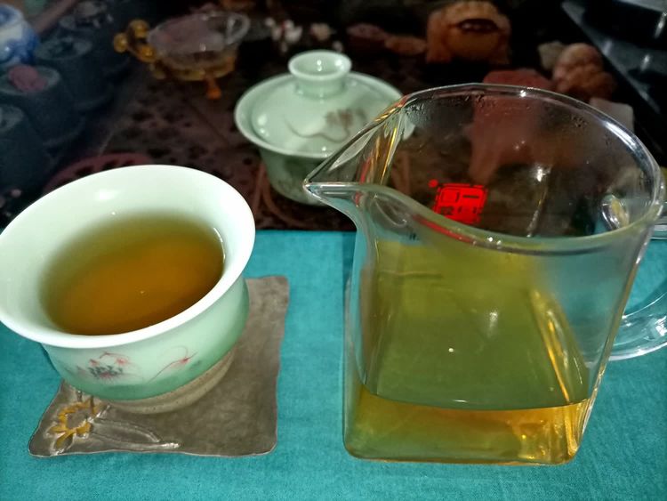 Tasting Nannuo Mountain Ancient Tree Tea - iNEWS
