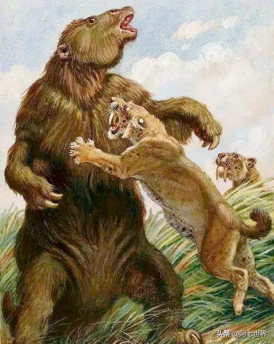 Prehistoric heavyweight boxer ~ giant ground sloth, standing up to five ...