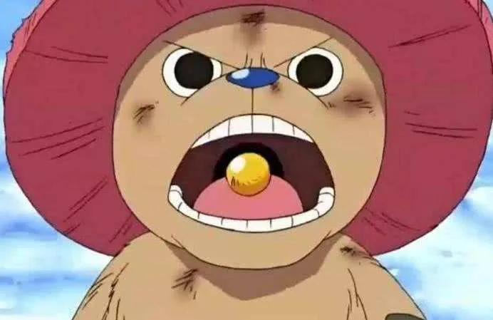 Chopper: They are all fruits of human beings, you are all phantom ...