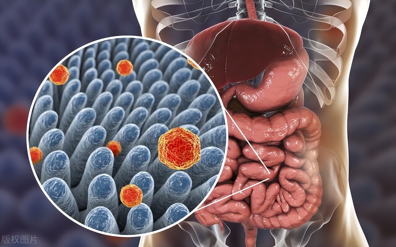 Is it bad for the liver to "fart" often? The doctor said bluntly: more ...