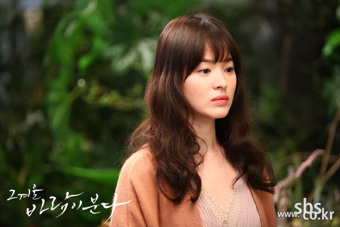 Review of 9 "2013 Korean Dramas", "I Hear Your Voice" and "The Heirs ...