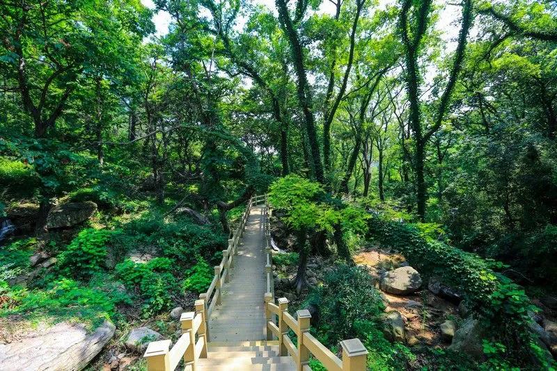 Peacock Valley at the foot of Huaguo Mountain - iNEWS