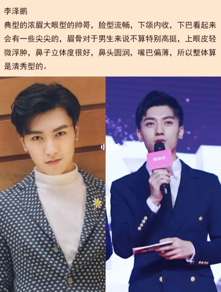 Looks exactly like Lee Min Ho and Wallace Huo, the audience was named ...