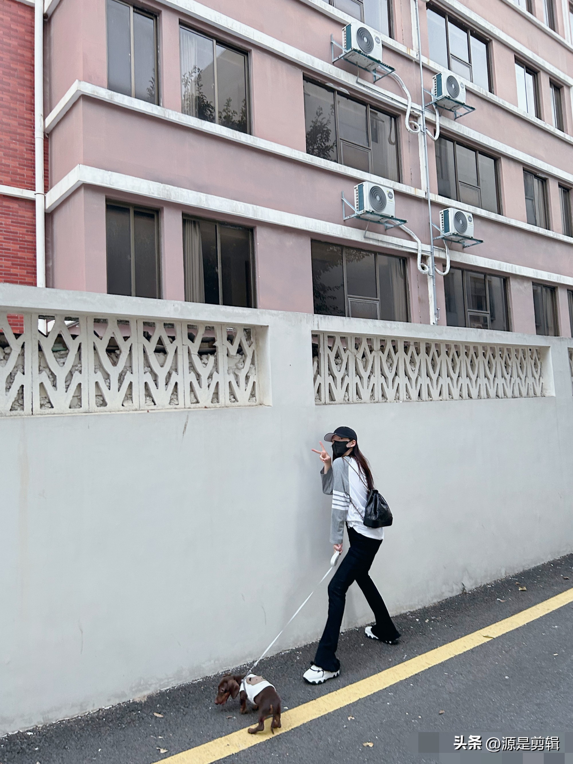 Appreciation of pure and beautiful photos of Zhao Lusi walking the dog ...